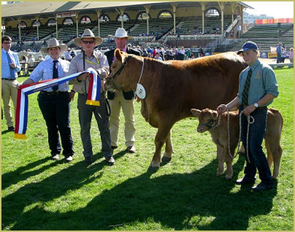 Brisbane Royal Show