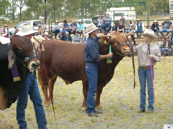 Biggenden Show