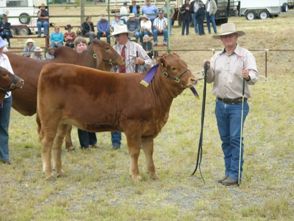 Biggenden Show