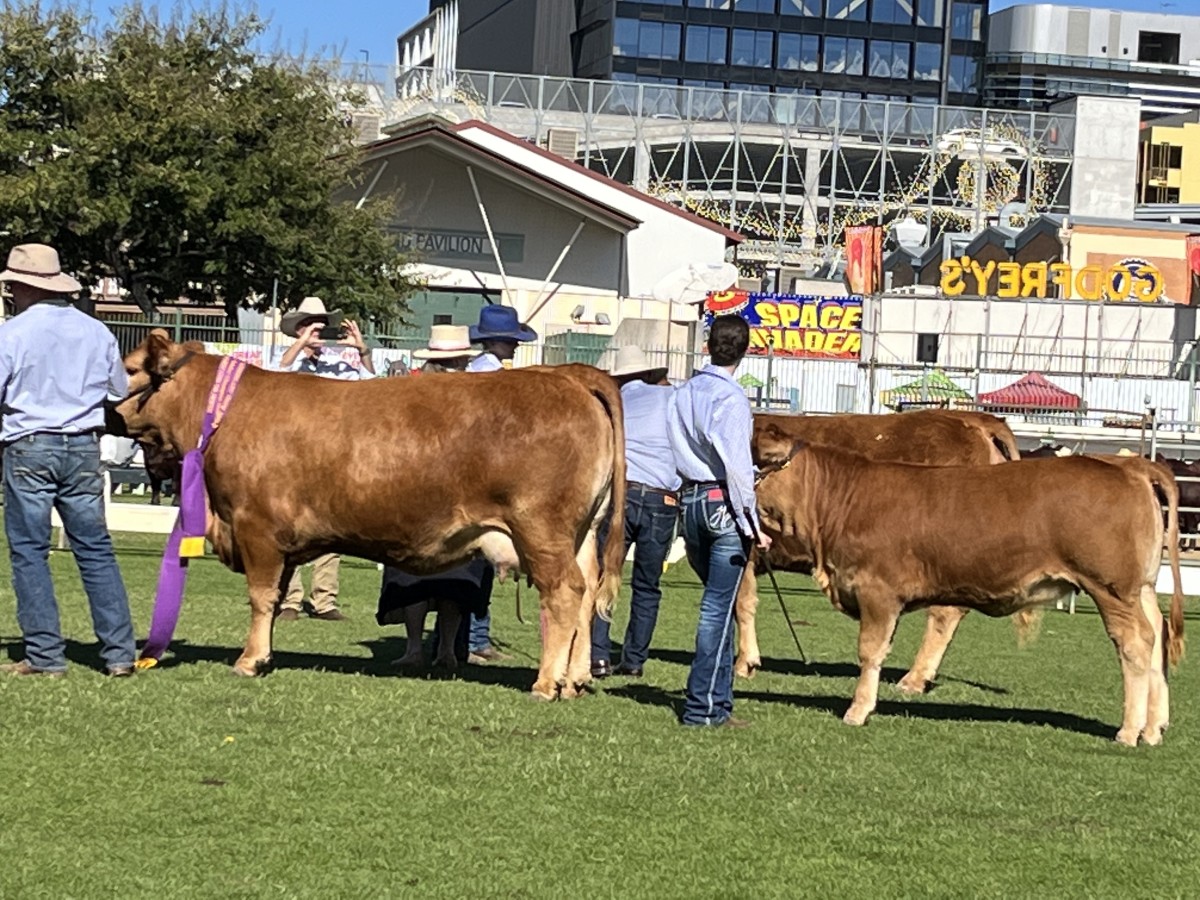 Ekka 2023